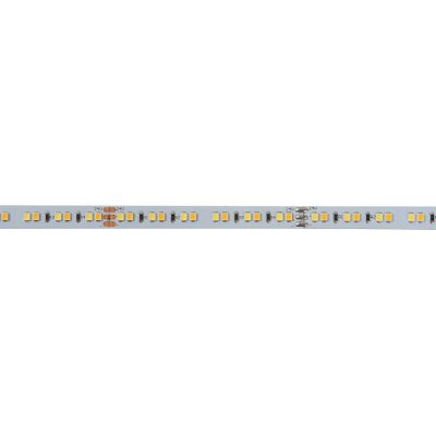 Robus VEGAS CCT2 24V Tunable LED Strip, 1 Meter